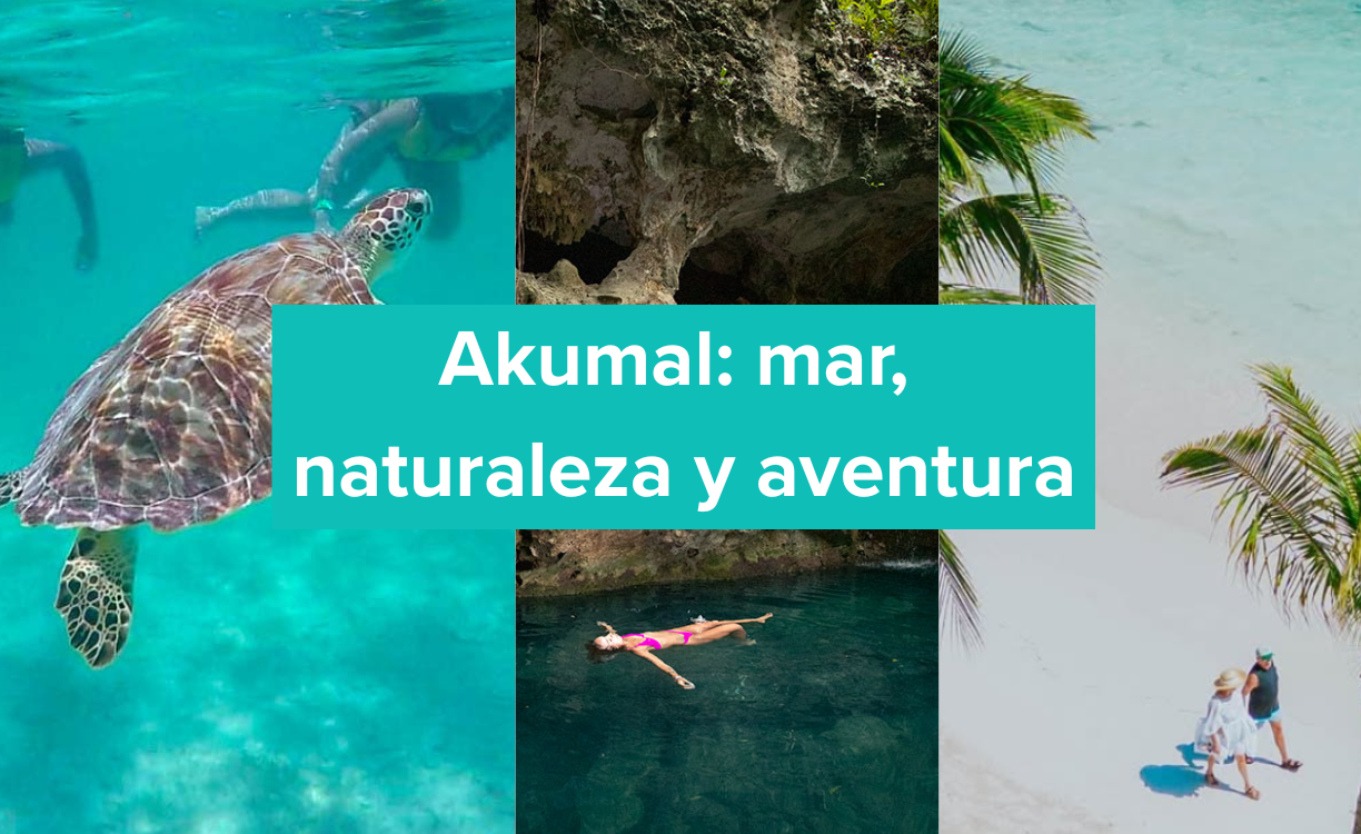 Playa del Carmen - Meet Magazine