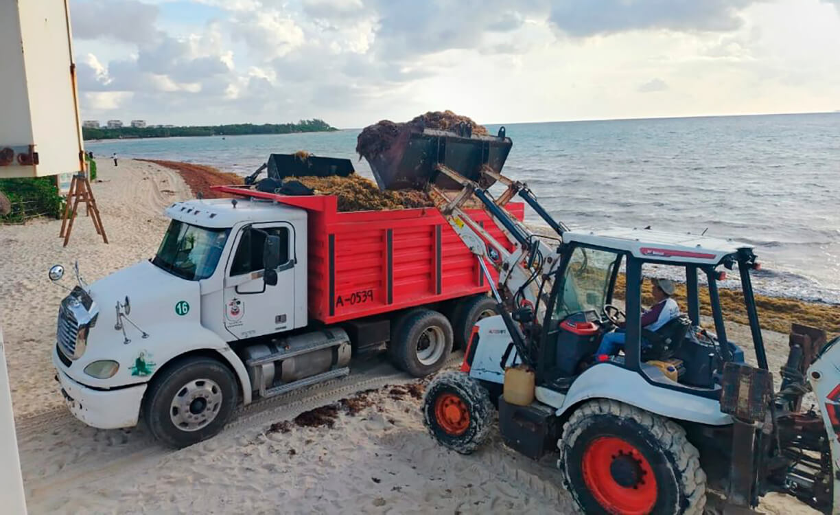 Contención del sargazo en Cancún: barreras flotantes listas antes de la ...
